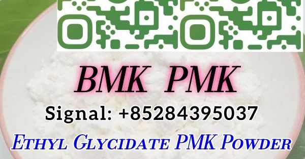 28578–16–7 PMK ethyl glycidate PMK POWDER 2026 pmk bmk 150253