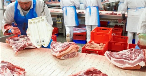 Abator Germania 66167