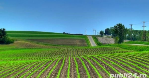 Dau in concesiune sau arenda teren agricol bio in tulcea 750>1000ha 25350