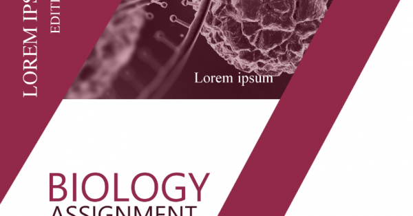 Redactare Cv-uri si Scrisori de Intentie 25020