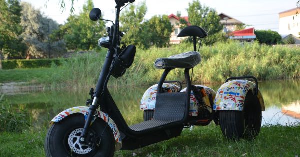 Scuter electric cu 3 roti 2000W 60V 20Ah Smarda SDM-301 #Grafiti 67247
